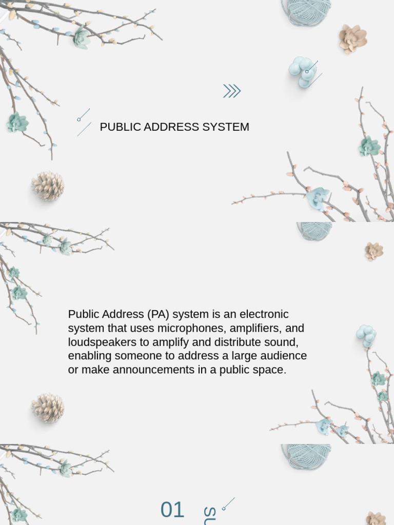 PUBLIC ADDRESS-WPS Office | PDF | Music Production | Electronic Engineering