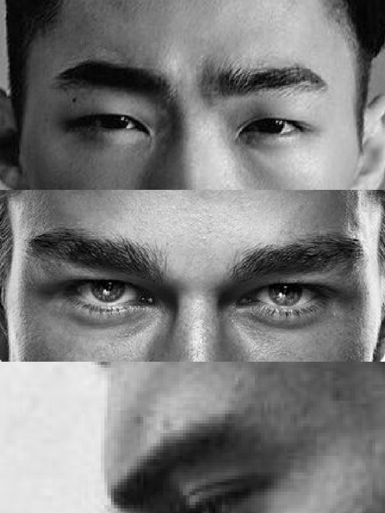 Eye Reference | PDF