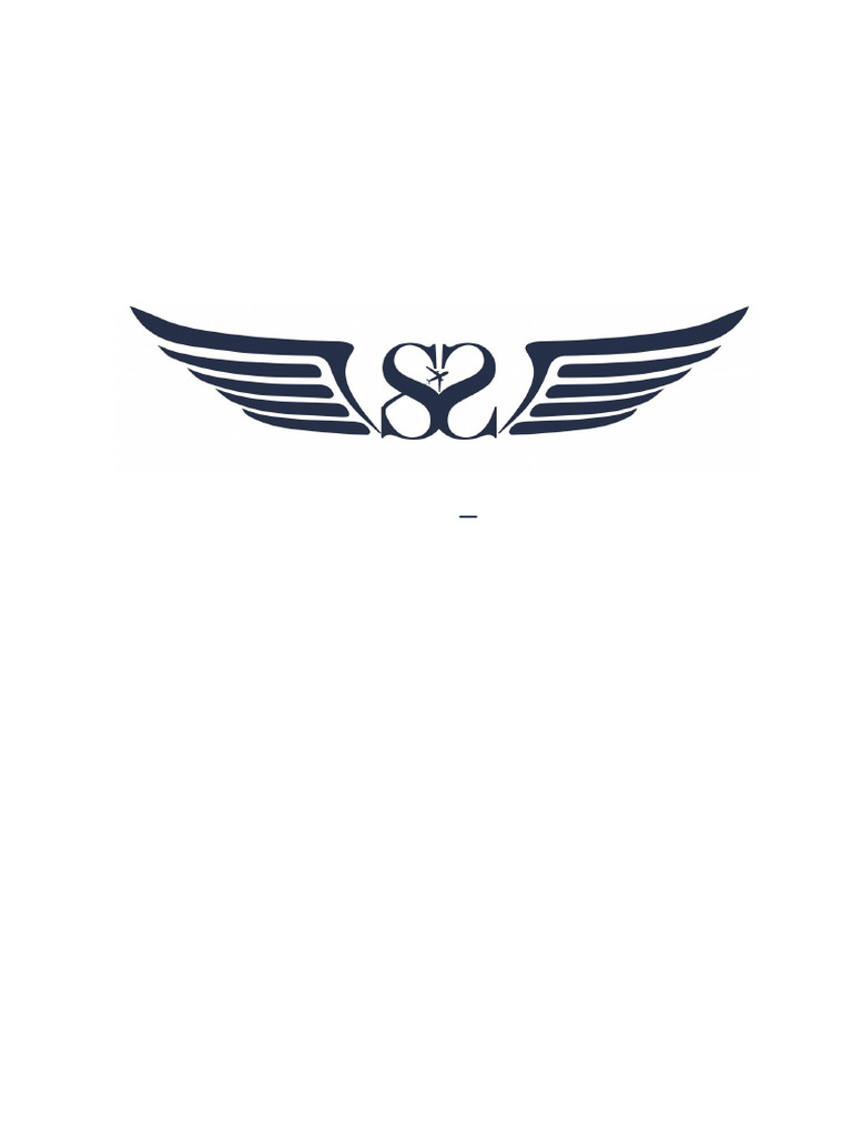 B737 Limitations | PDF | Flap (Aeronautics) | Takeoff