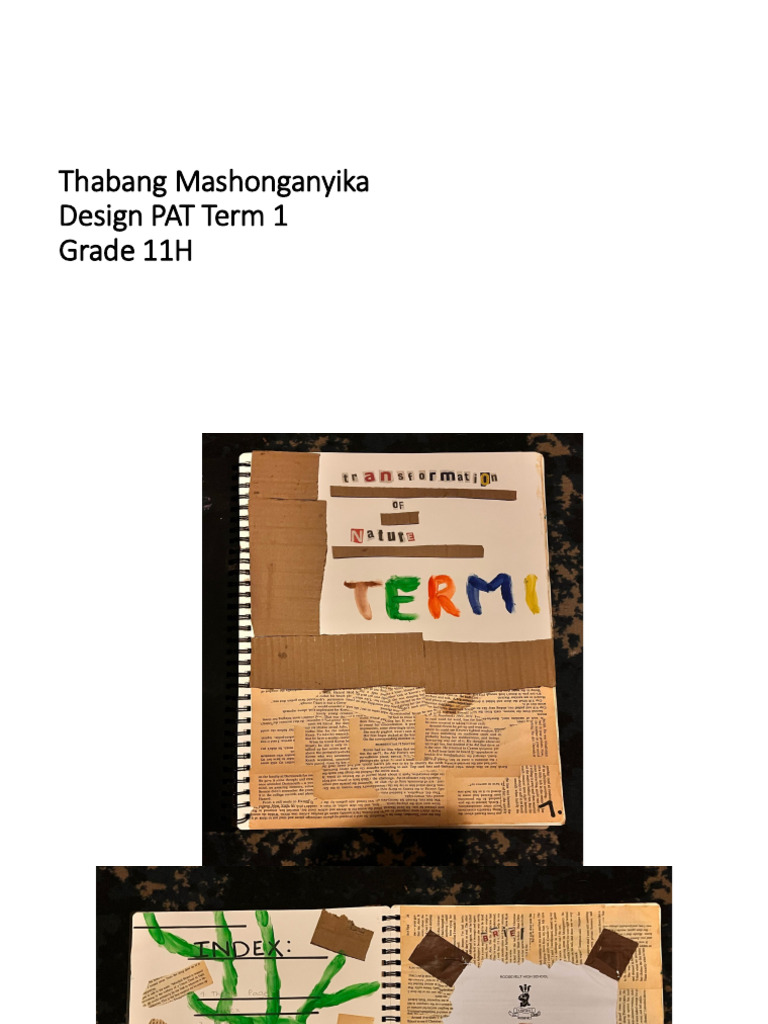 Thabang Mashonganyika Grade 11 PAT Term 1 | PDF