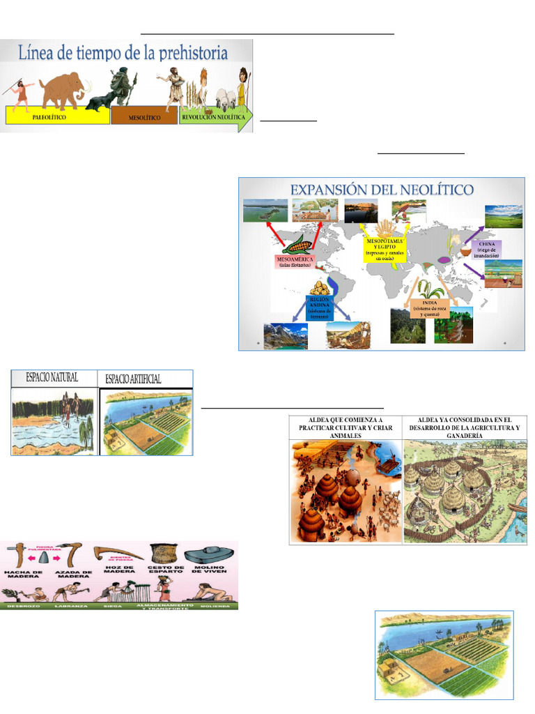 Revolución Neolítica: Agricultura y Sociedad | PDF | Agricultura ...