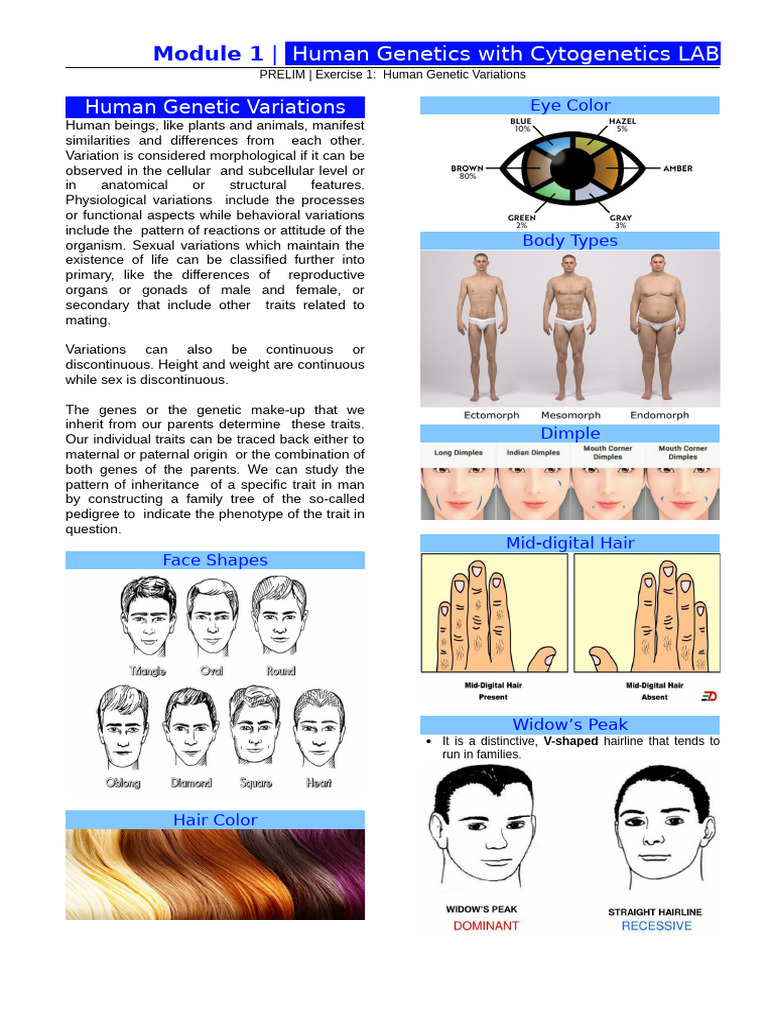 Human Genetic Variations Overview | PDF | Cell (Biology) | Eukaryotes