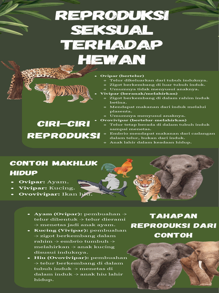 Green Science Mammal Characteristic Infographic | PDF