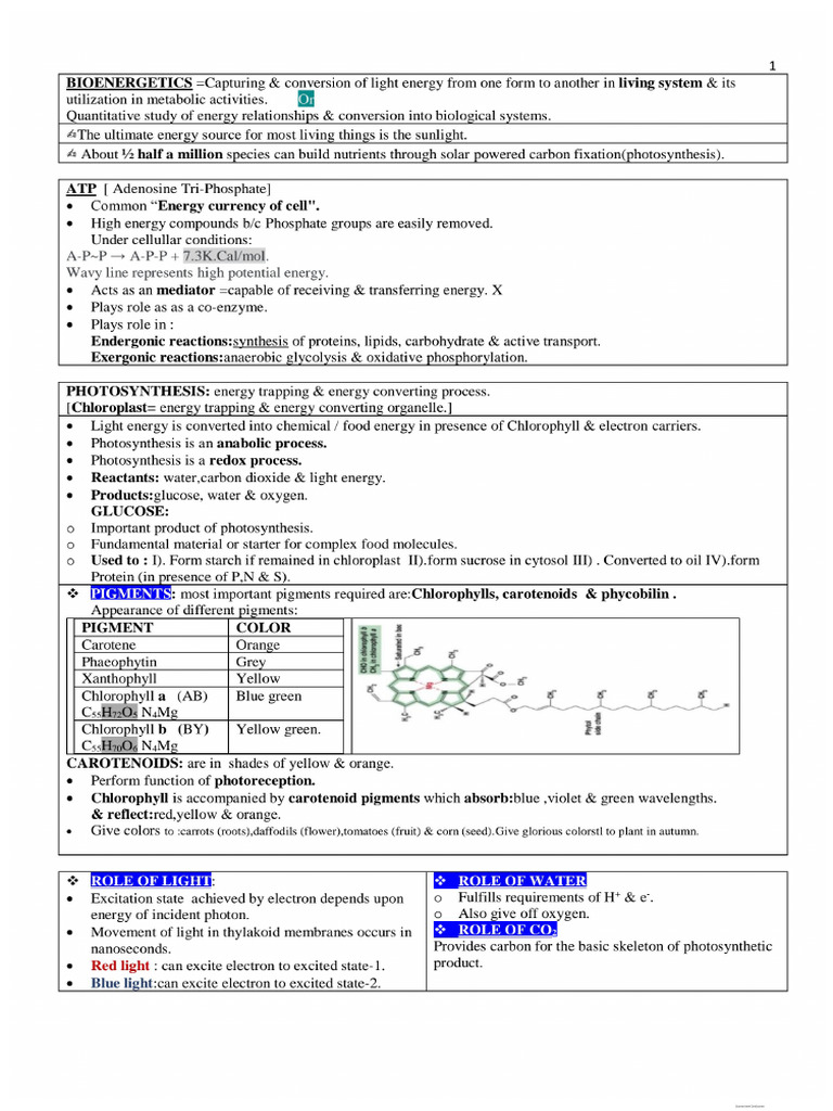BIOENERGETICS | PDF