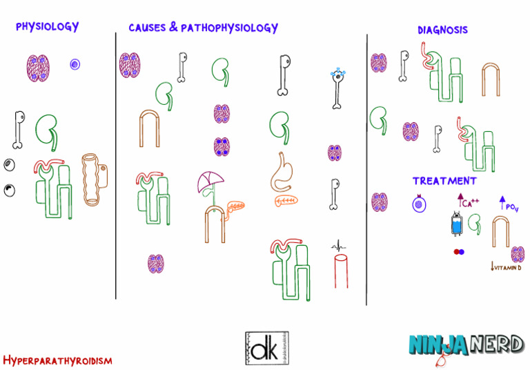 Hyperparathyroidism Causes, Pathophysiology, Clinical Features ...