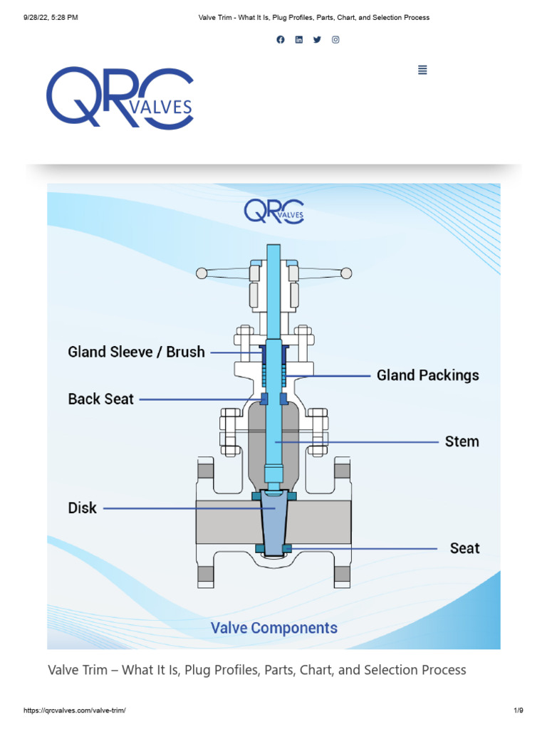 Valve Trim: Selection and Characteristics | PDF | Valve | Mechanical ...