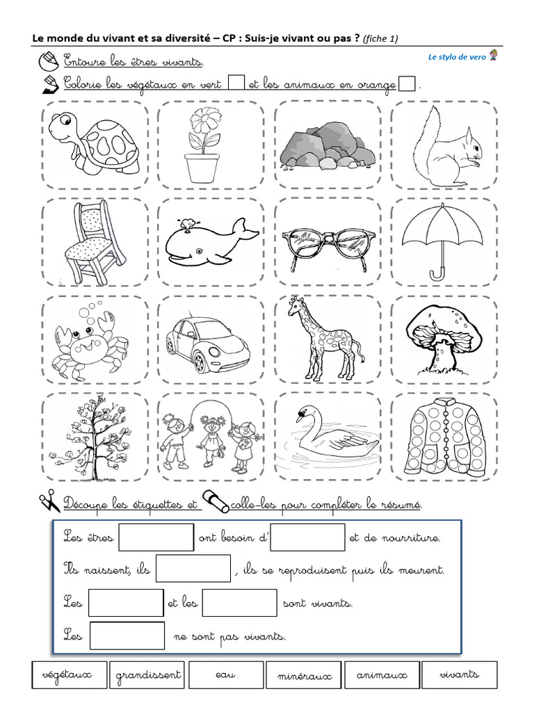 Diversité des êtres vivants en CP | PDF