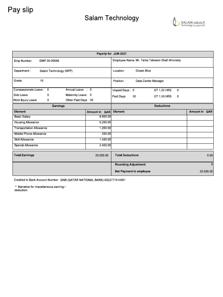 Pay Slip | PDF