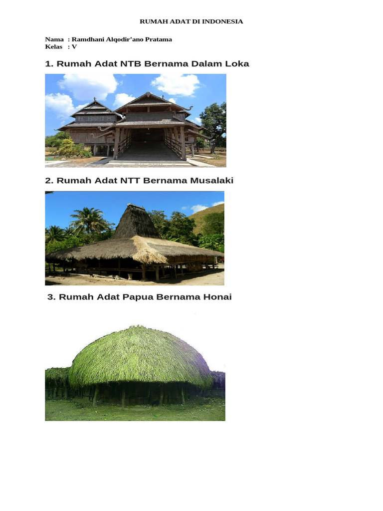 DANI - Rumah Adat | PDF