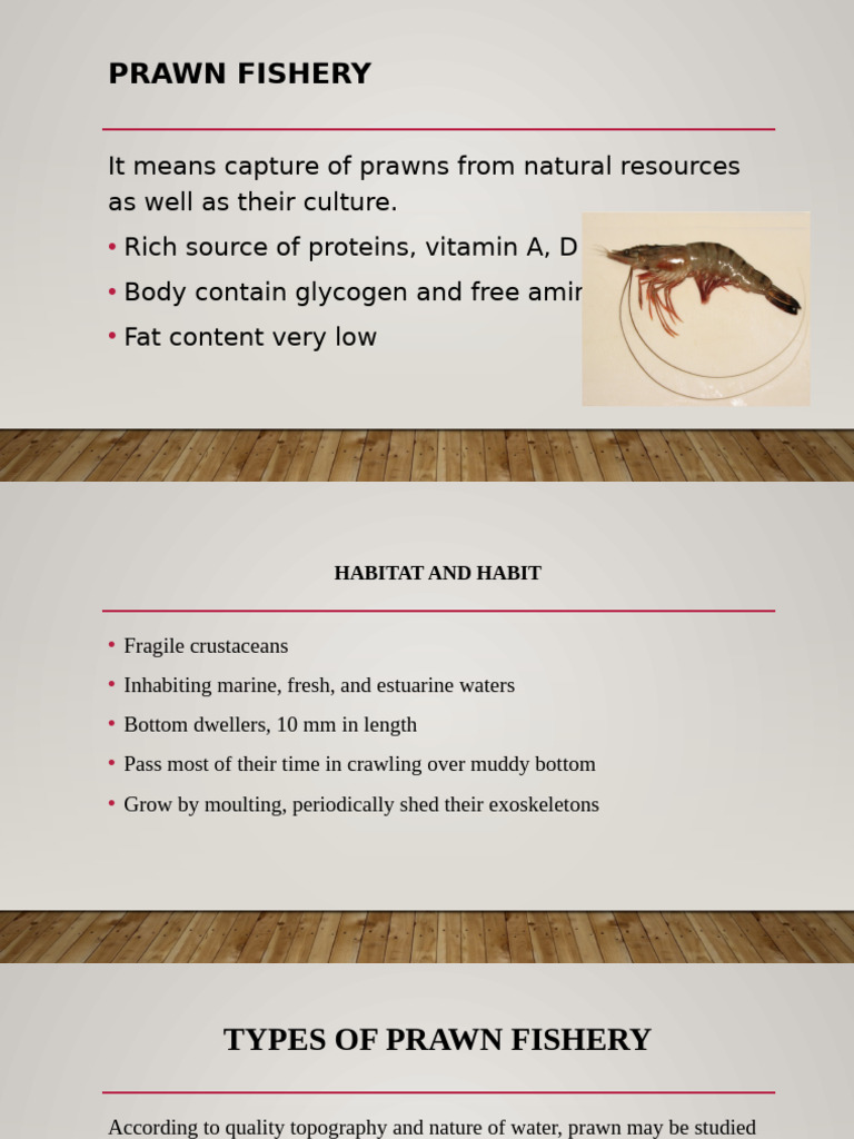 Prawn Culture Lecture 9 and 10 | PDF | Water | Estuary
