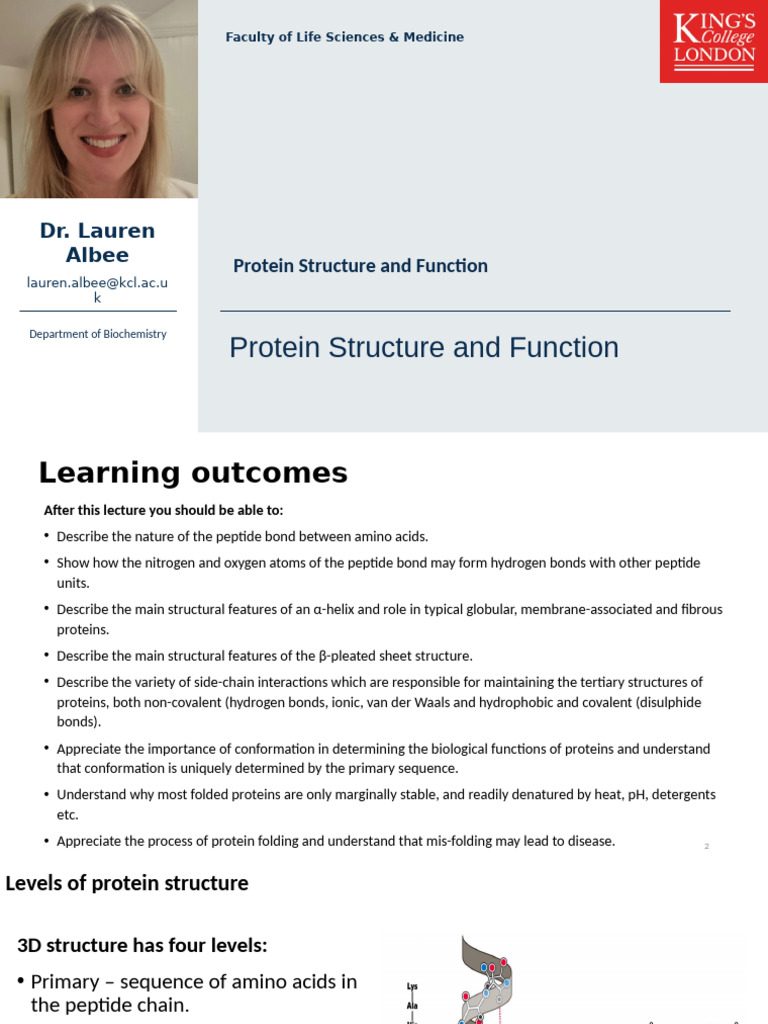 Protein Structure and Function - PPTX Slides (MCQ Answers) | PDF | Protein Structure | Beta Sheet