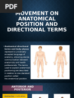 Brain Anatomical Directional Terms | PDF