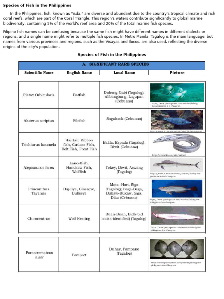 Species of Fish in The Philippines | PDF