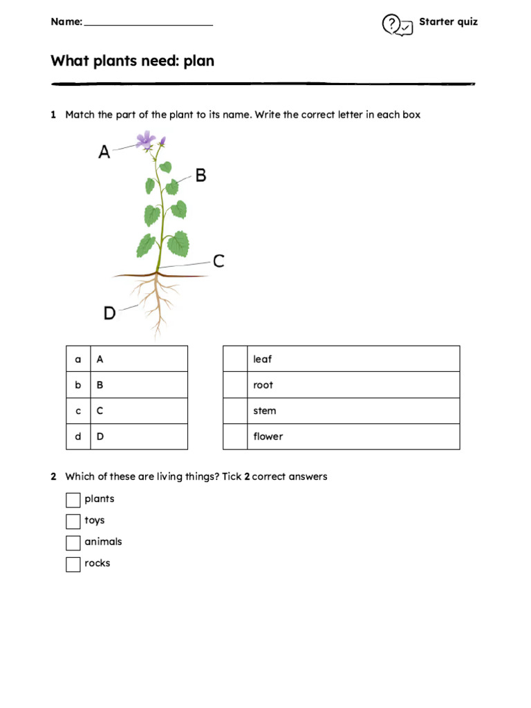 Plant Basics Starter Quiz | PDF