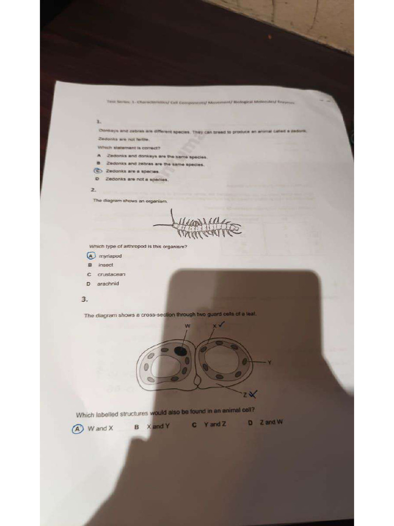 Bio Teat 1 | PDF