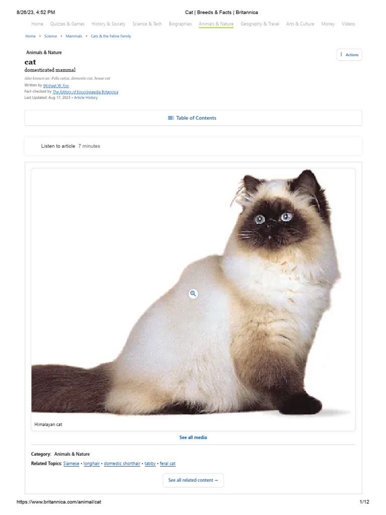Cat - Breeds & Facts - Britannica | PDF