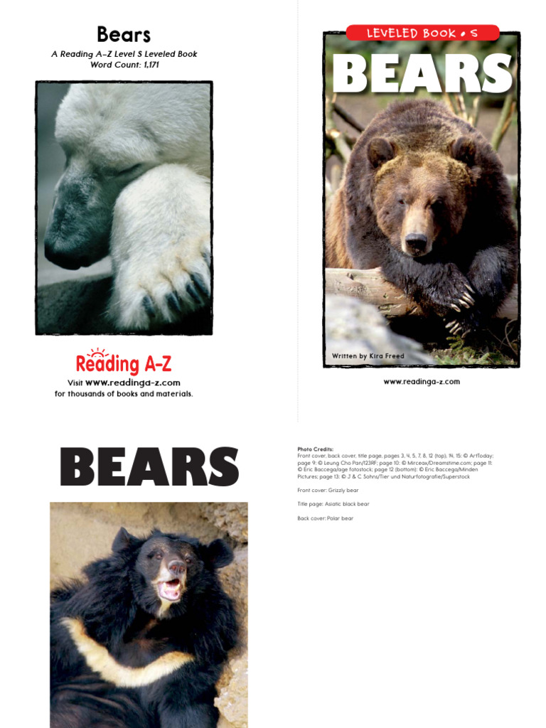 Bears A2 | PDF | Bears | Polar Bear