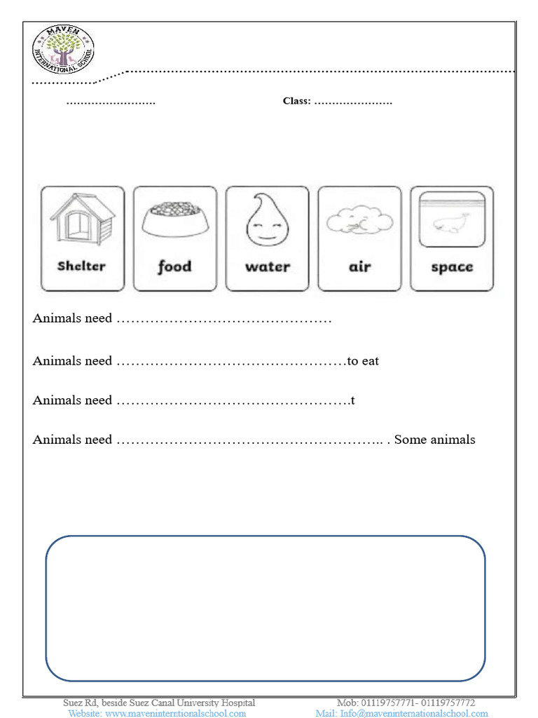 Worksheet Template Week 3 Animals Need | PDF