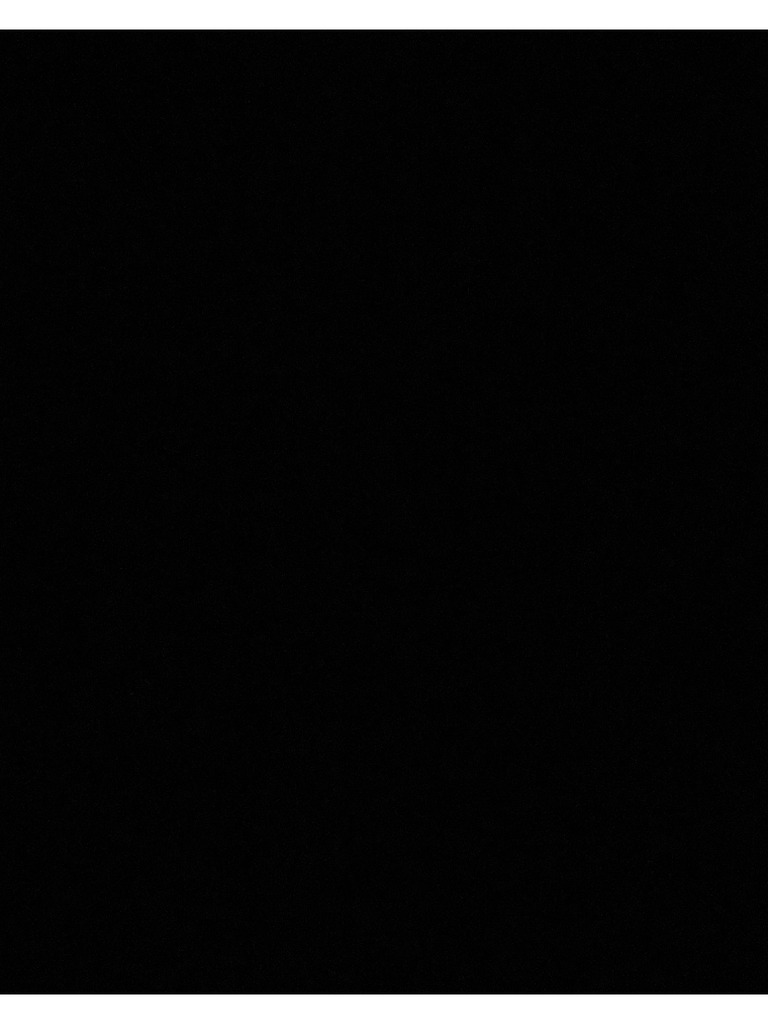 Document Black | PDF