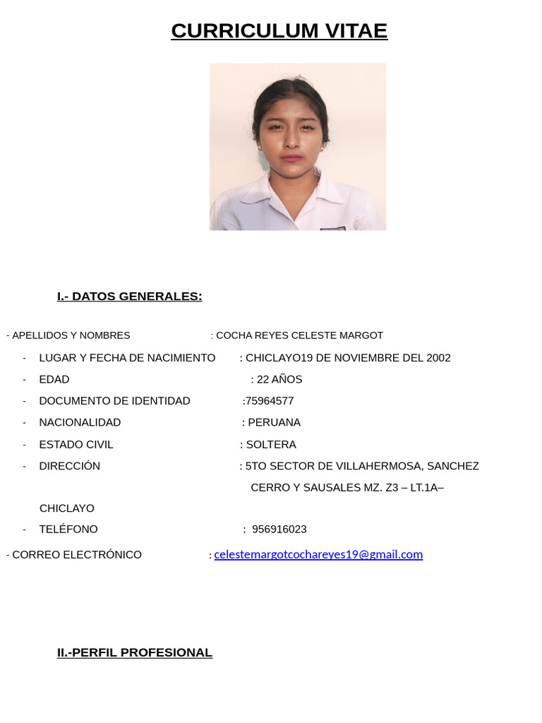 Celeste Margot Cocha Reyes Curriculum Vitae PDF | PDF | Enfermería ...