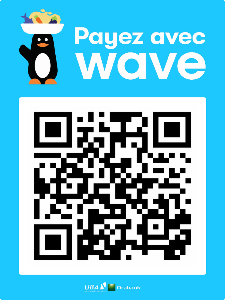 Static Wave QR | PDF