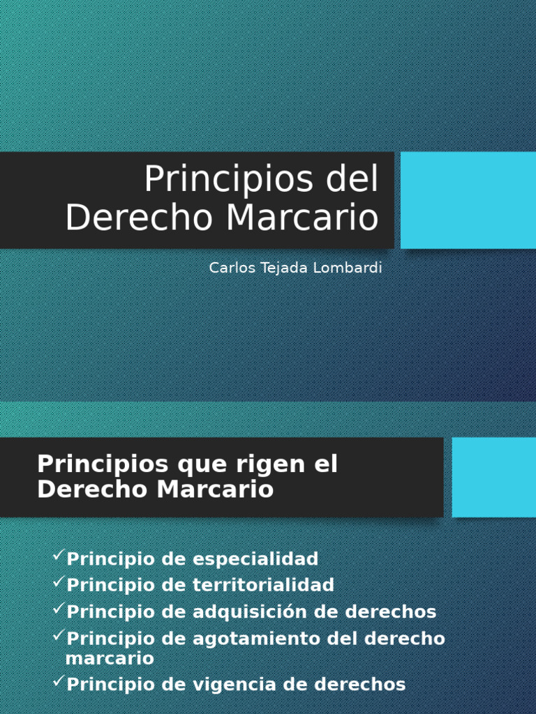 Principios del Derecho Marcario Explicados | PDF