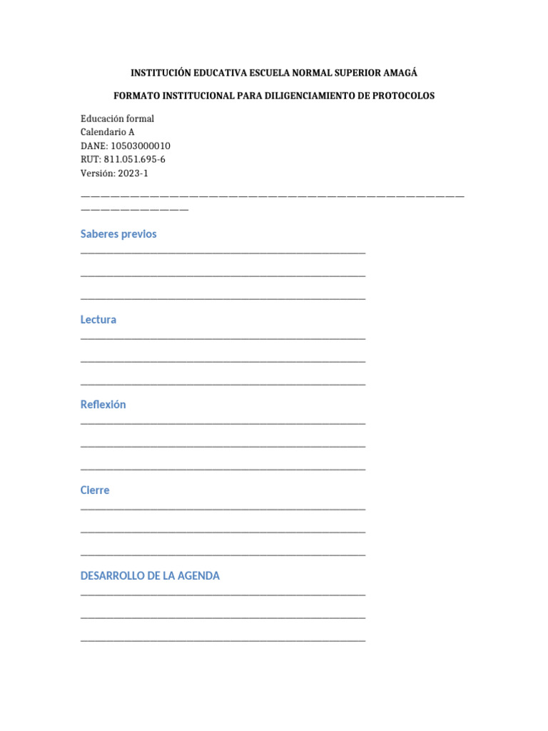 Formato Protocolo Vacio Editable | PDF