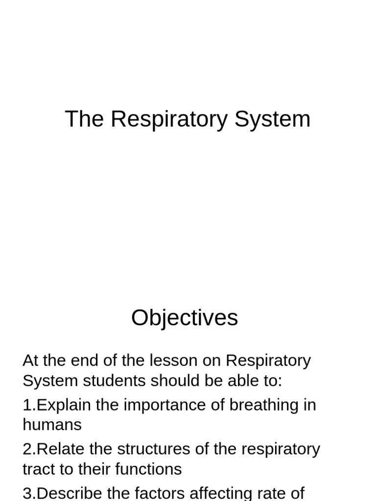 Understanding the Respiratory System | PDF | Respiratory System | Breathing