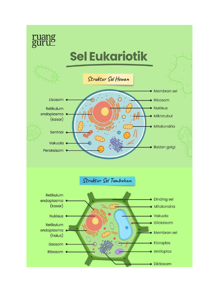Gambar Sel | PDF