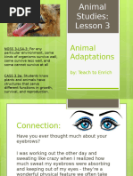 Types of Animal Body Coverings | PDF