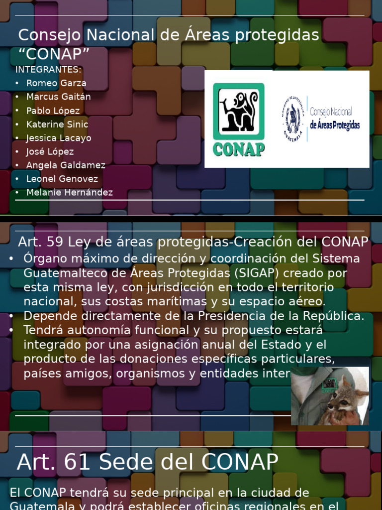 Conap 1 | PDF | Entorno natural