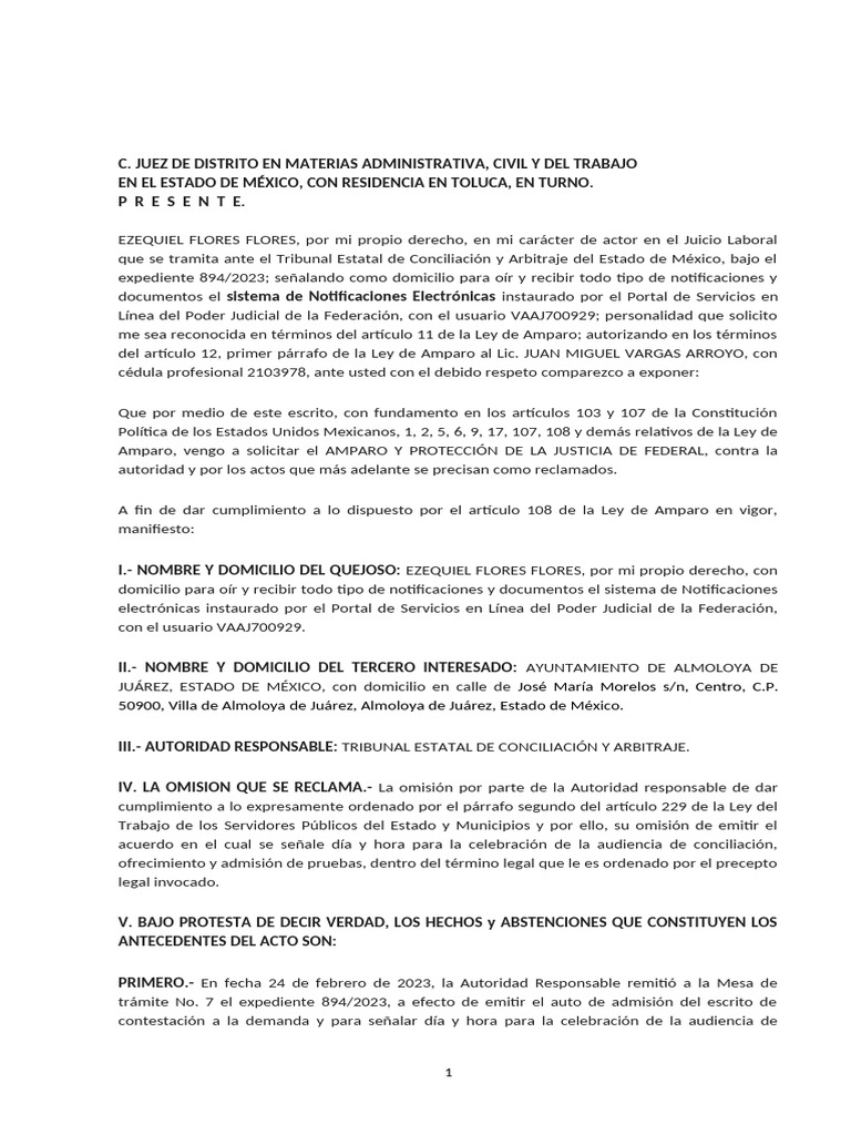 Amparo Indirecto Omite Señalar Audiencia de Conciliación, Ofrecimiento ...