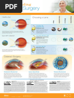 CT LUCIA 602 IOL Specifications and Safety | PDF | Optics | Vision
