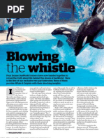 SeaWorld Orca Kanduke Killed by A Mosquito Bite: Necropsy & Article ...