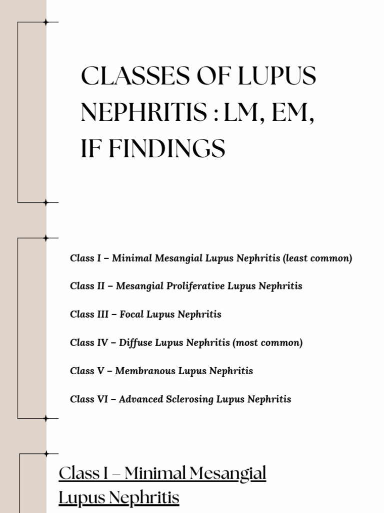 Types of Lupus Nephritis Explained | PDF