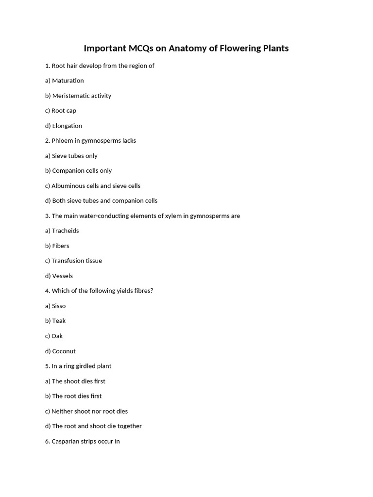 MCQs On Anatomy of Flowering Plants | PDF | Plant Stem | Leaf