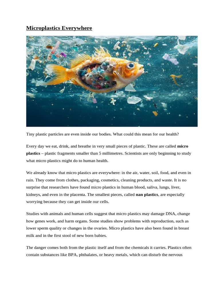 Microplastics Everywhere | PDF | Plastic | Natural Environment