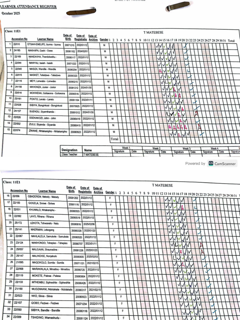 Grade 11 Pdf