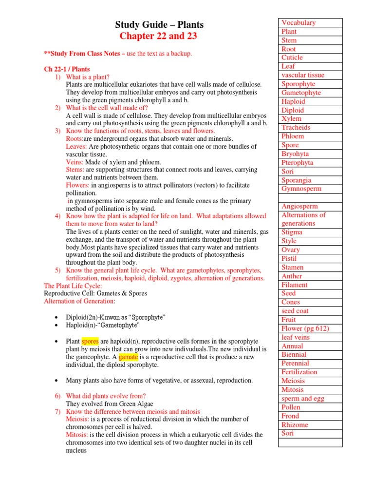 Study Guide - Protist and Fungi Test | PDF | Plants | Reproduction