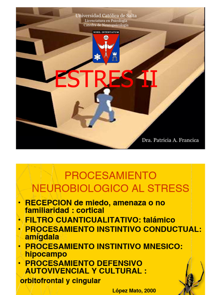 Stress 2 D - 250930 - 085435 | PDF | Estrés (biología) | Cerebro