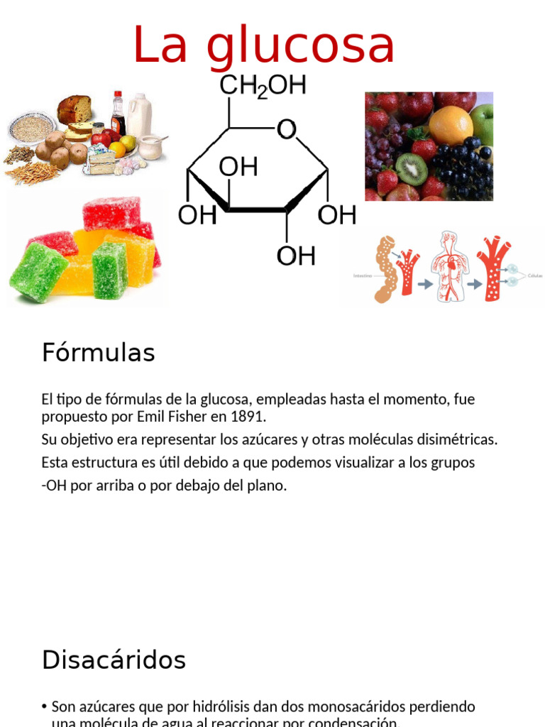 Estructura y funciones de la glucosa | PDF
