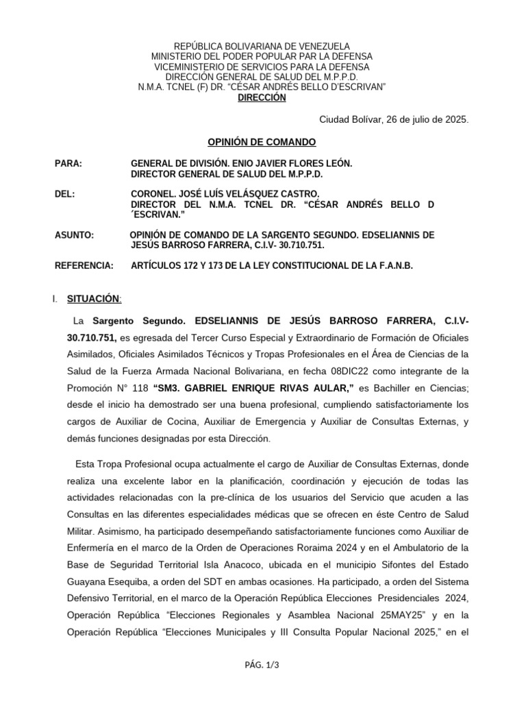 Opinión de Comando S2 Barroso | PDF | Oficial general | Gobierno
