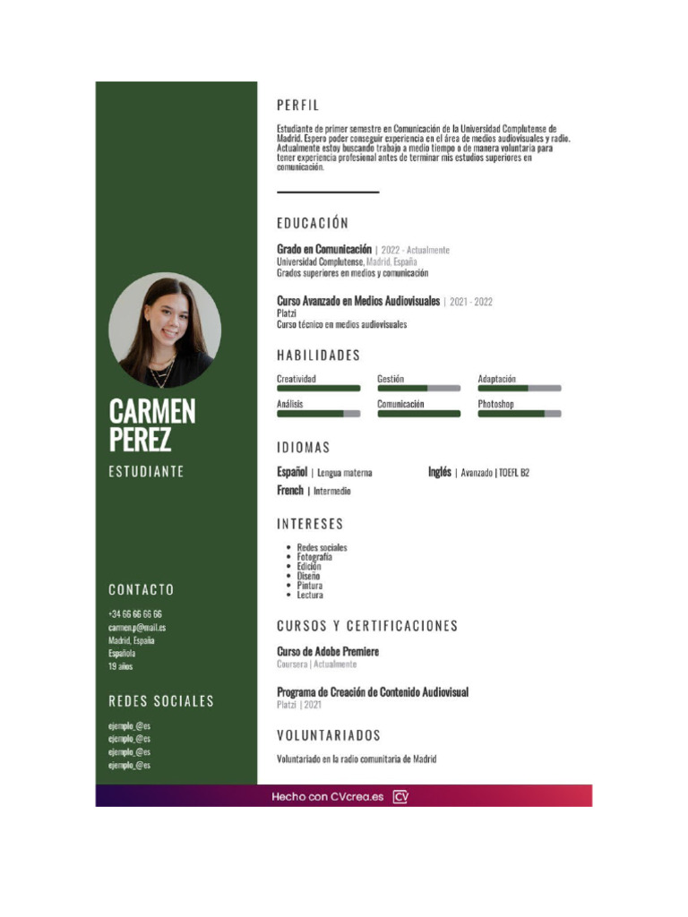 Modelo de Curriculum | PDF