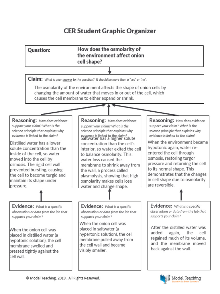 CER Student Graphic Organizer | PDF | Osmosis | Life Sciences