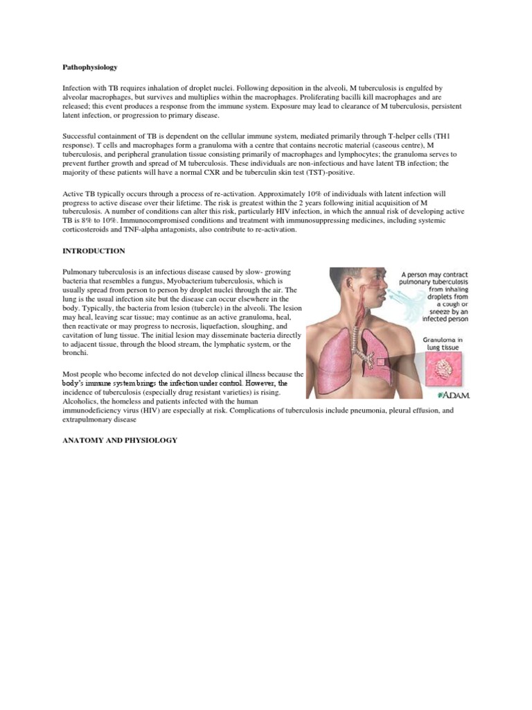 PTB Case Study | PDF | Respiratory Tract | Respiratory System