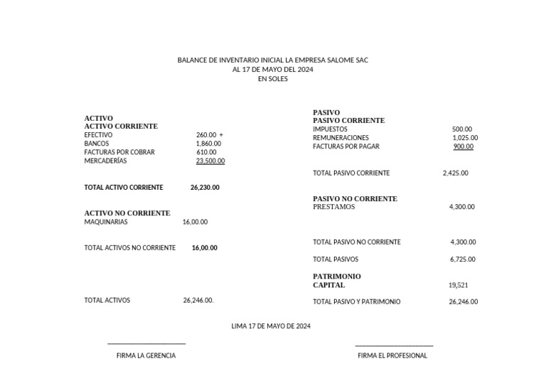 Balance de Inventario Inicial La Empresa Salome Sac | PDF