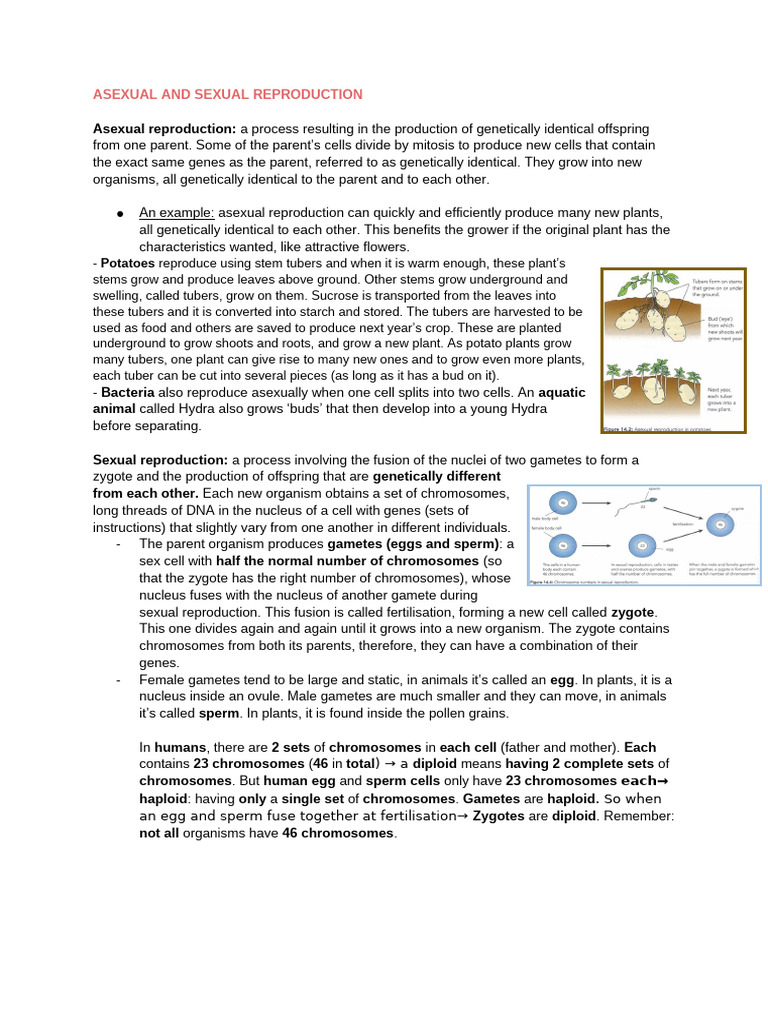 Reproduction in Plats Biology | PDF | Reproduction | Flowers