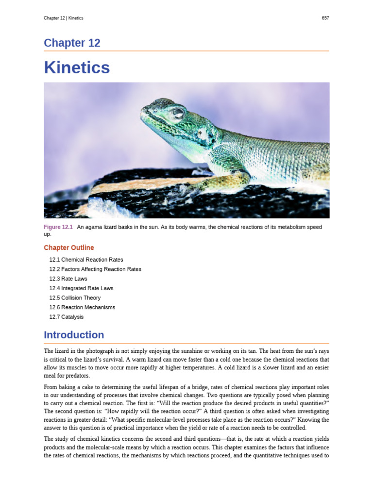 12 Kinetics | PDF | Reaction Rate | Chemical Kinetics