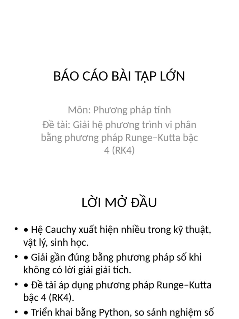 Bao Cao Rk4 Hinh Chia | PDF