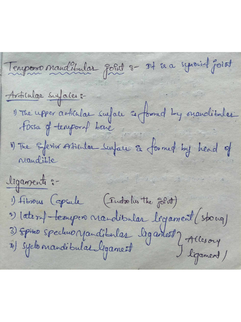 TMJ Notes | PDF